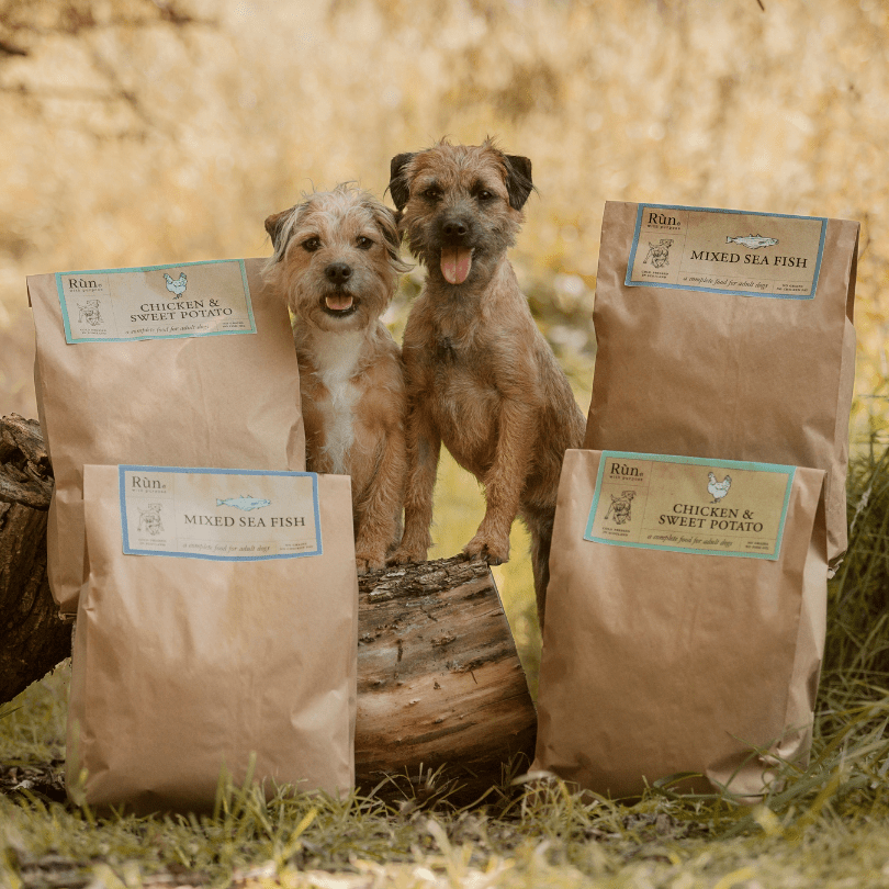 Cold Pressed Dog Food – Rùn Dog Food
