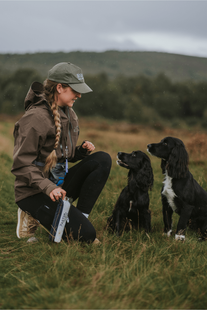 Working Dog Accessories – Rùn Dog Food